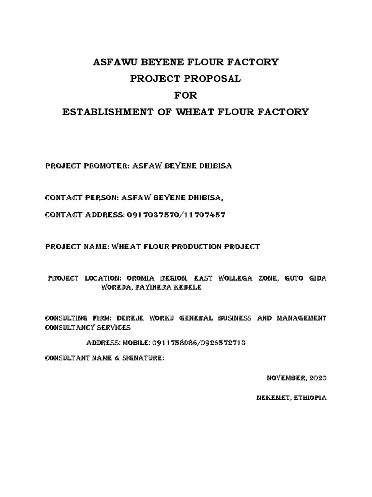 Flour Factory - Proposal - Study11 | PDF | Retail | Agriculture