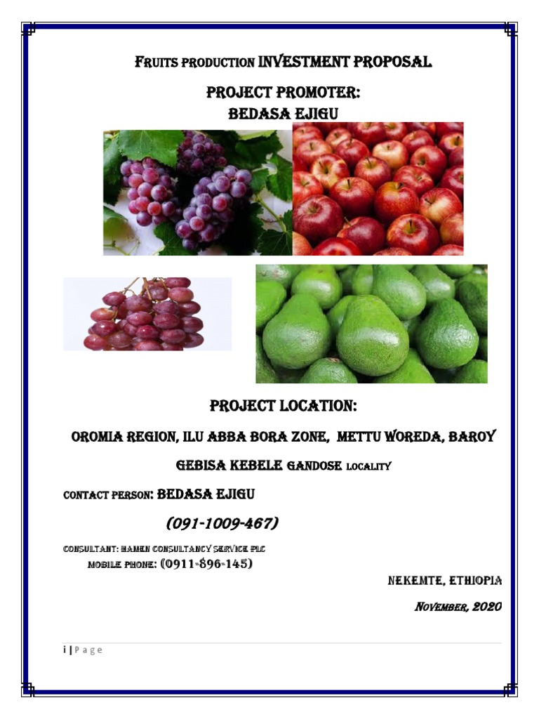 Bedasa Ijigu - Fruits Prod Proposal PDF | PDF | Agriculture | Smallholding