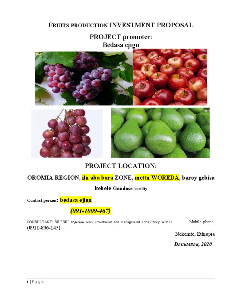 Yohanis - Fruits Prod Proposal | PDF | Agriculture | Smallholding