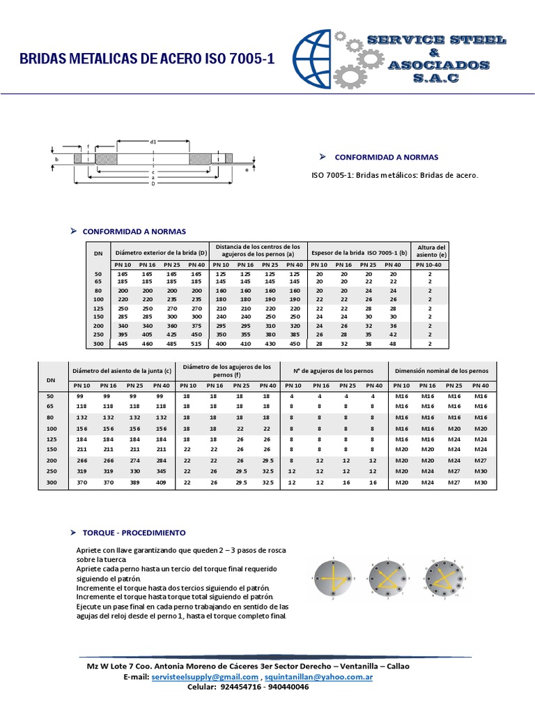 Bridas Metalicas de Acero Iso 7005-1 | PDF | Ingeniería mecánica | Plomería