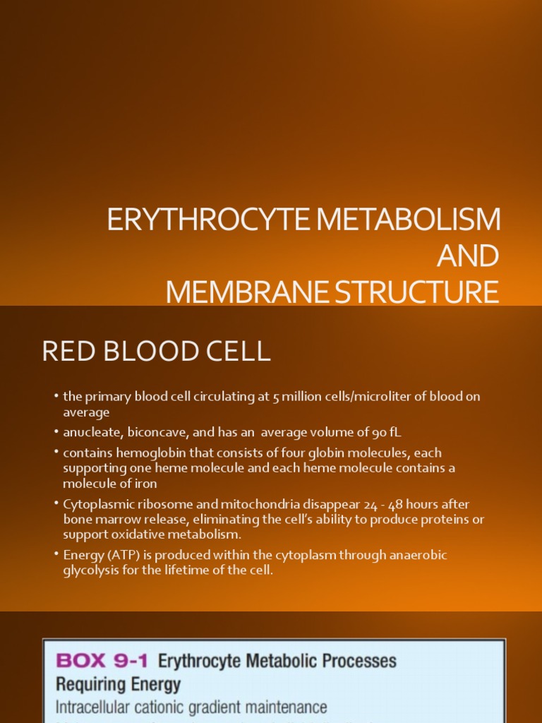 Erythrocyte Metabolism AND Membrane Structure and Function | PDF ...