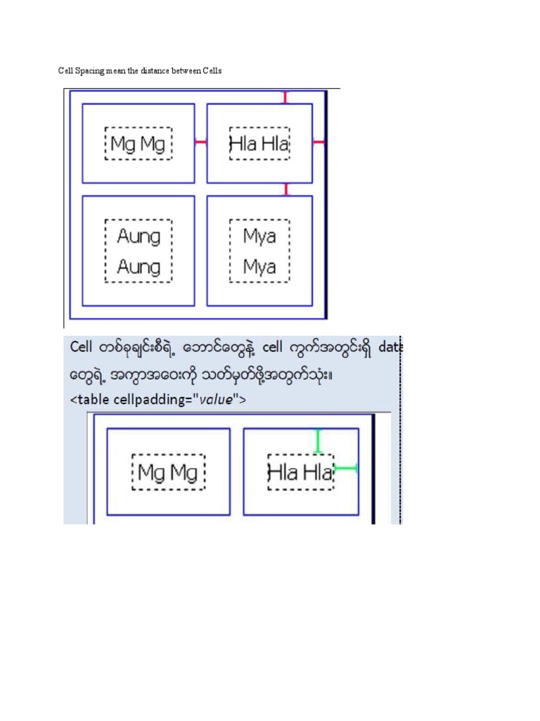 Cell Spacing and Cell Padding | PDF