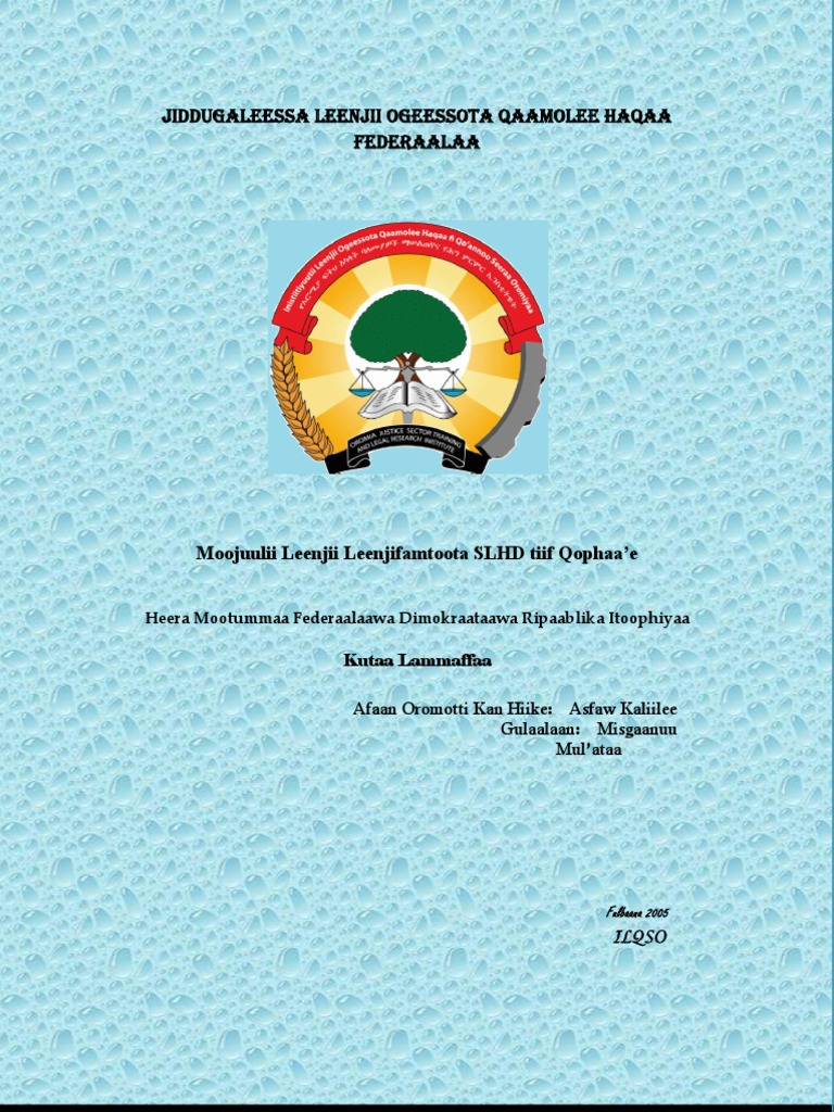 Heera Mootummaa Federaalaawa Dimokraataawa Ripaablika Itoophiyaa | PDF