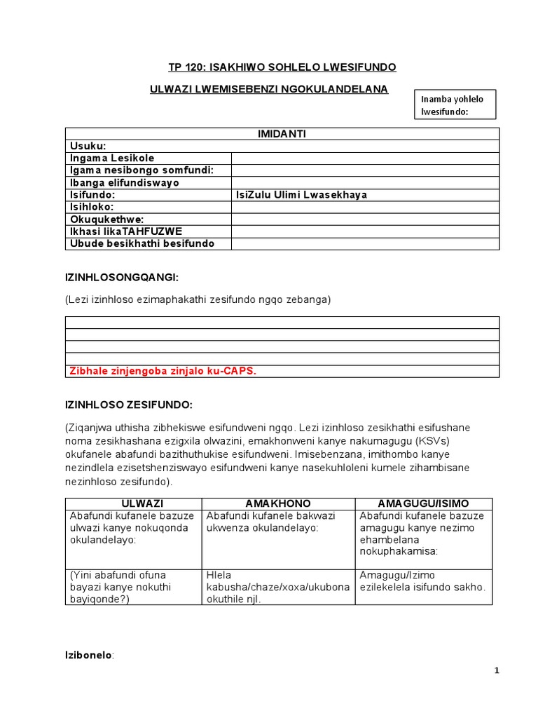 IsiZulu Lesson Plan | PDF | Career & Growth | Art