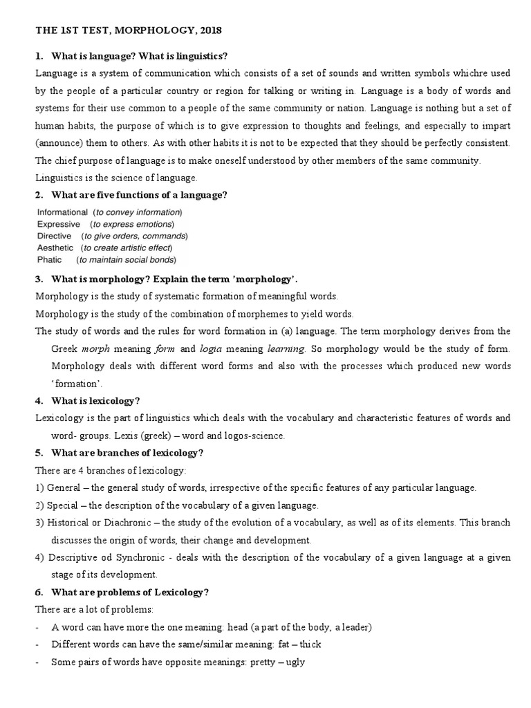 Morphology Test (Lexicology), With Answers, 2021 | PDF | Word ...