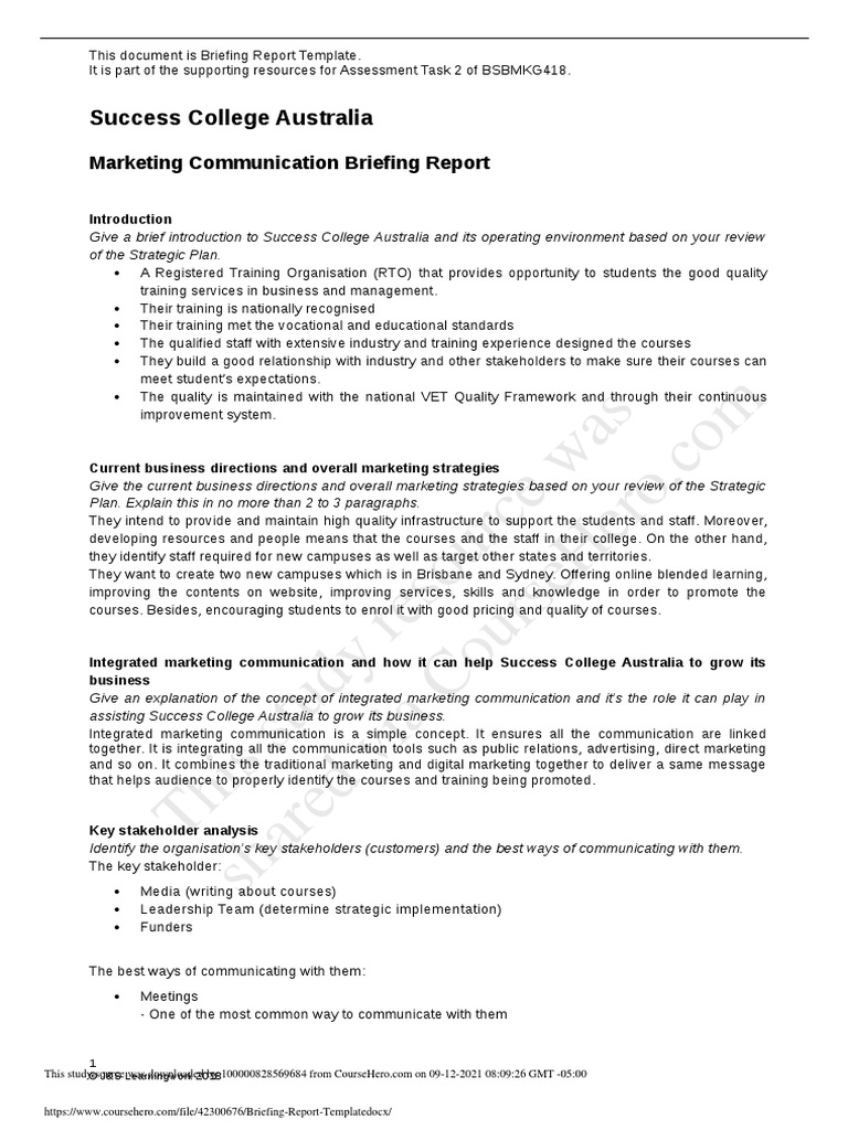 Briefing Report Template | PDF | Marketing Communications | Marketing