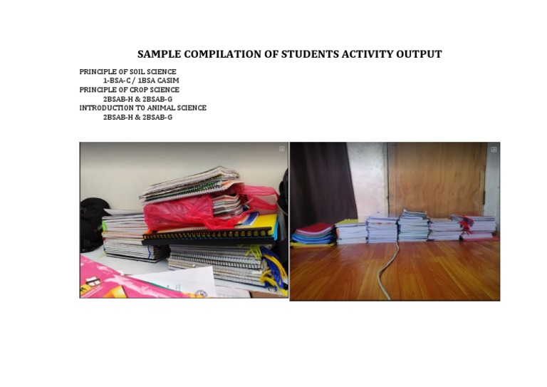 Sample Compilation of Students Activity Output | PDF