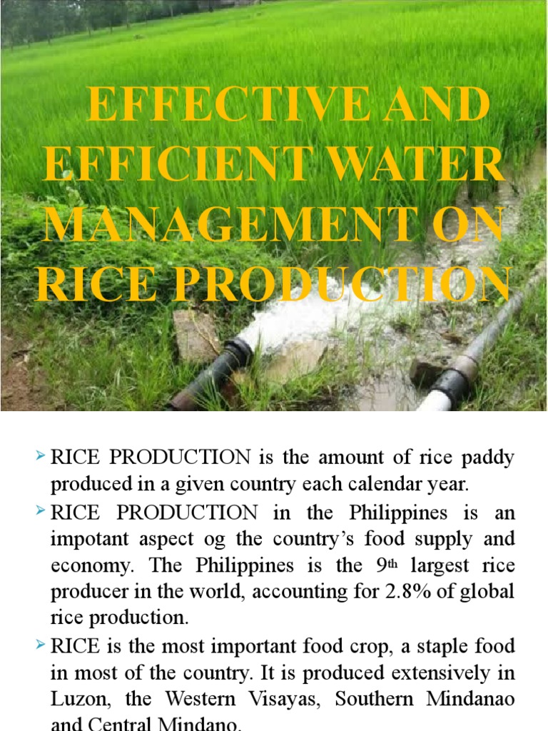 Efficient Water Management in Rice Production | PDF