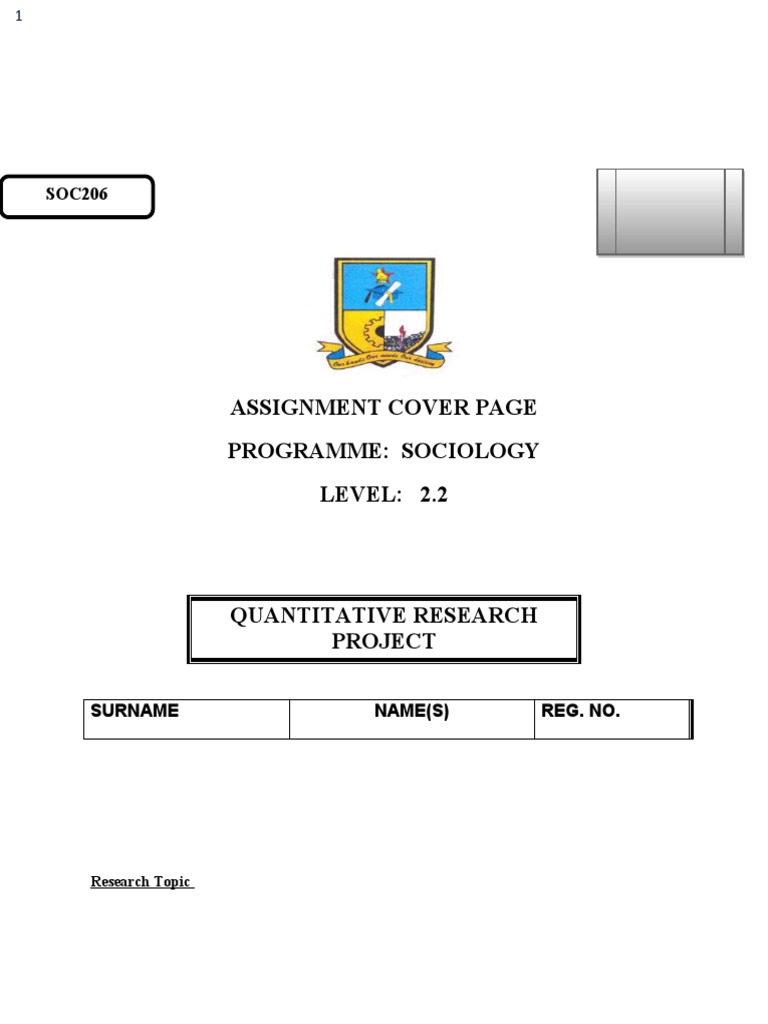 01.quantitative Research Project | PDF | Violence | Domestic Violence