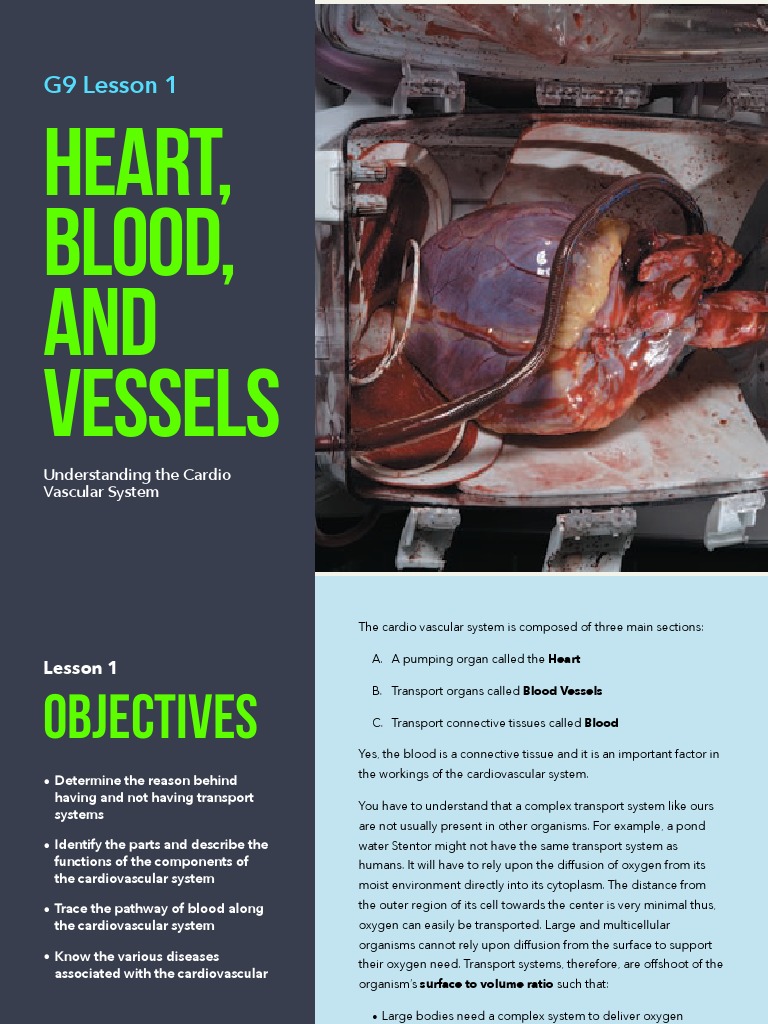 G9 - Lesson 1 Cardiovascular System | PDF | Heart | Blood Vessel