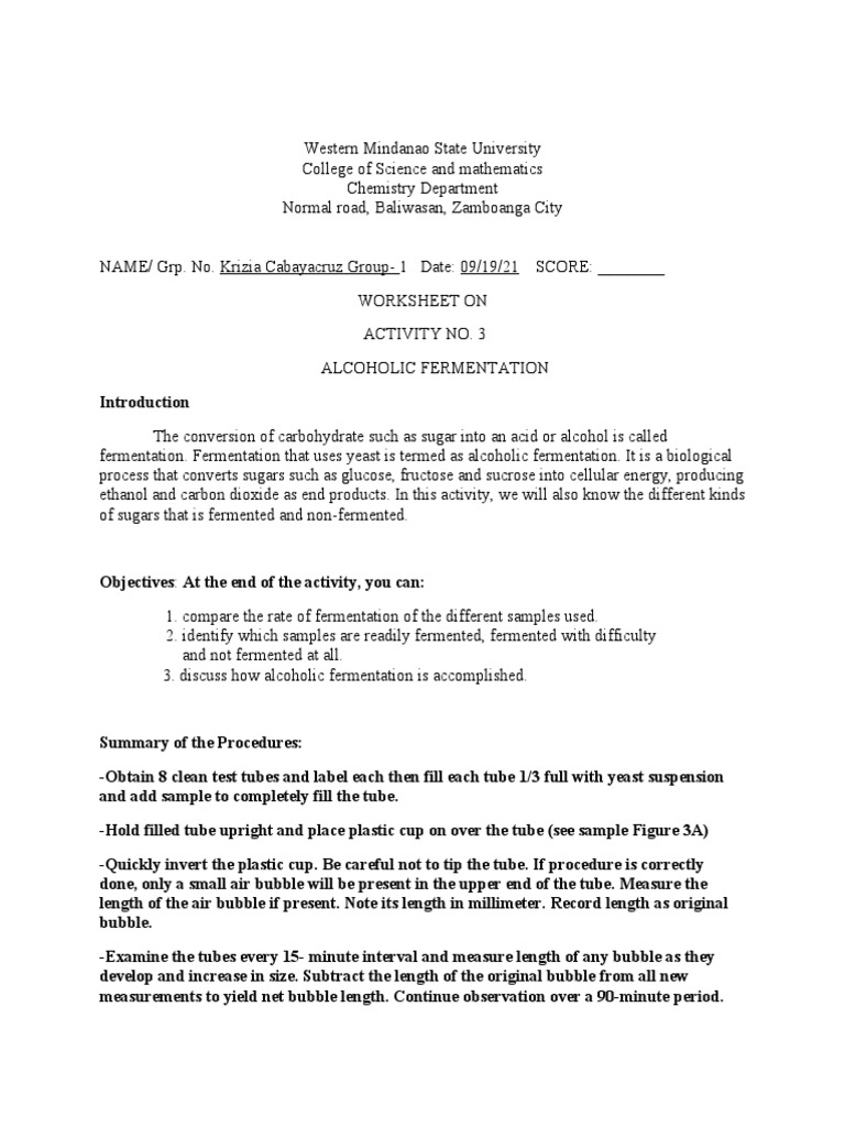 Alcoholic Fermentation Worksheet | PDF | Fructose | Fermentation