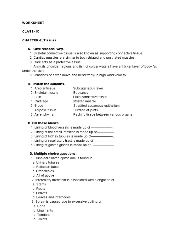 Worksheet Class-Ix CHAPTER-2, Tissues A. Give Reasons, Why | PDF ...