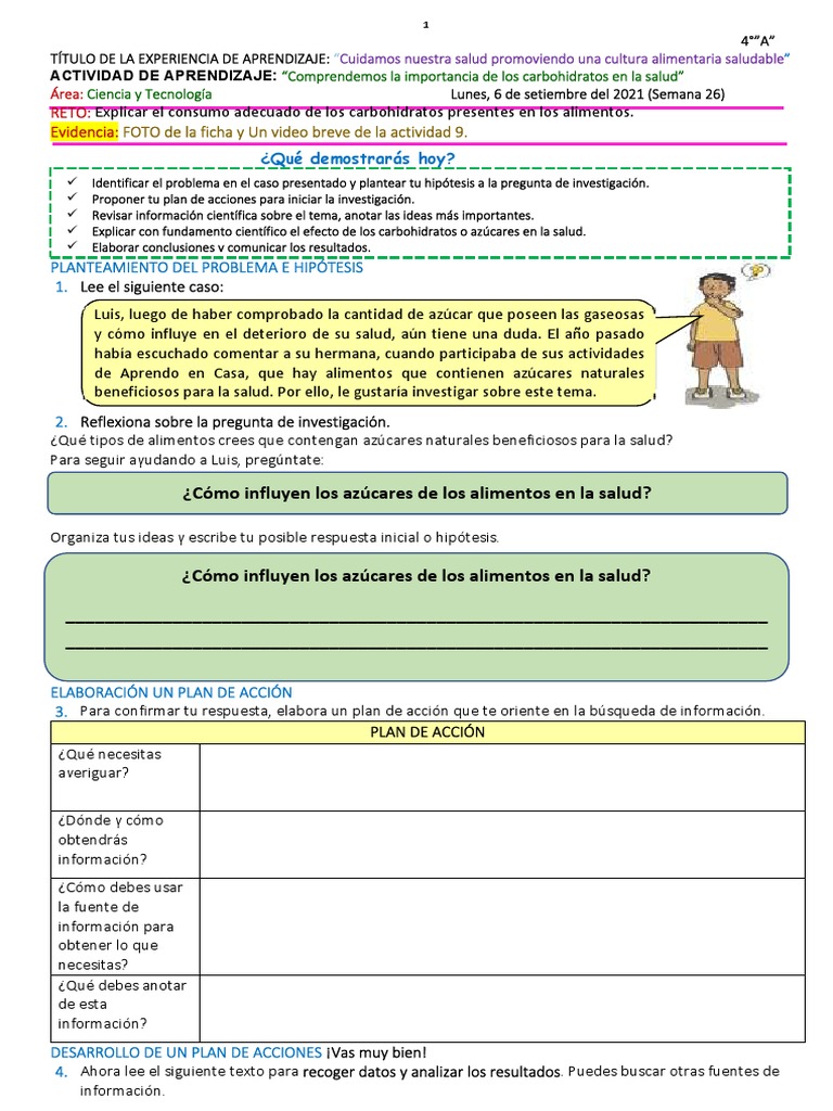 CIENCIA Y TEC. S24-D 6 SET-Comprendemos La Importancia de Los ...