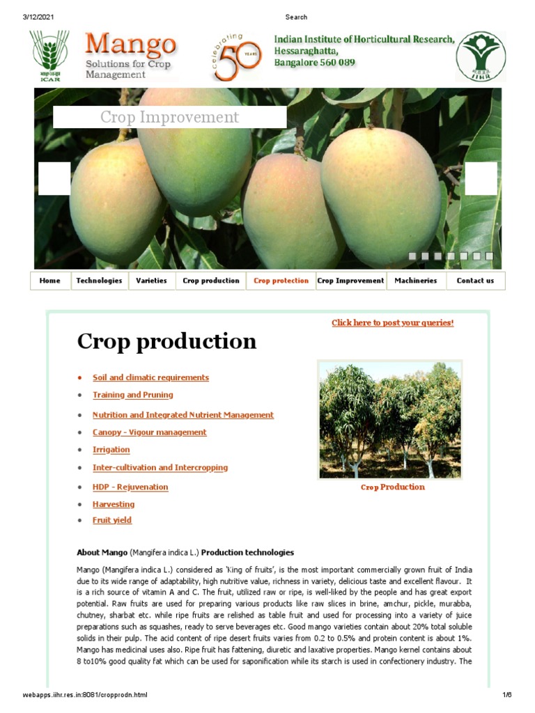 Mango | PDF | Mango | Grafting