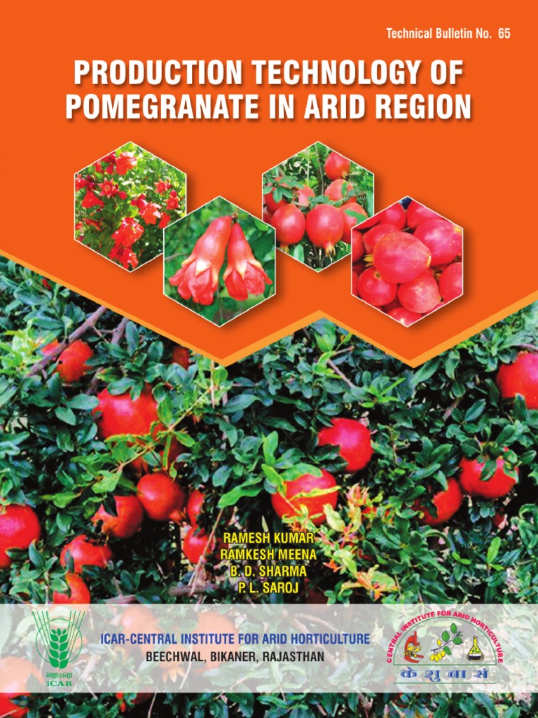 Pomegranate | PDF | Soil | Fertilizer