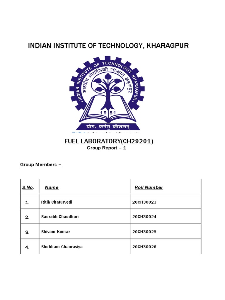 Indian Institute of Technology | PDF | Petroleum | Diesel Fuel
