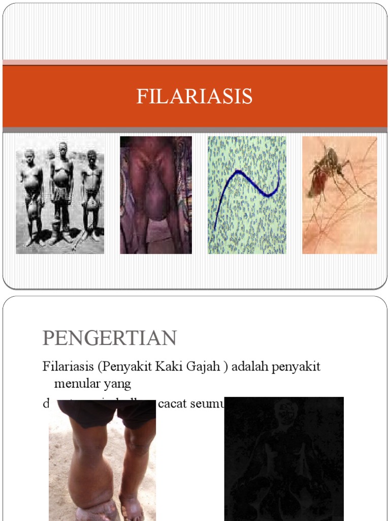 Panduan Kader Tangani Filariasis | PDF | Kesehatan Holistik