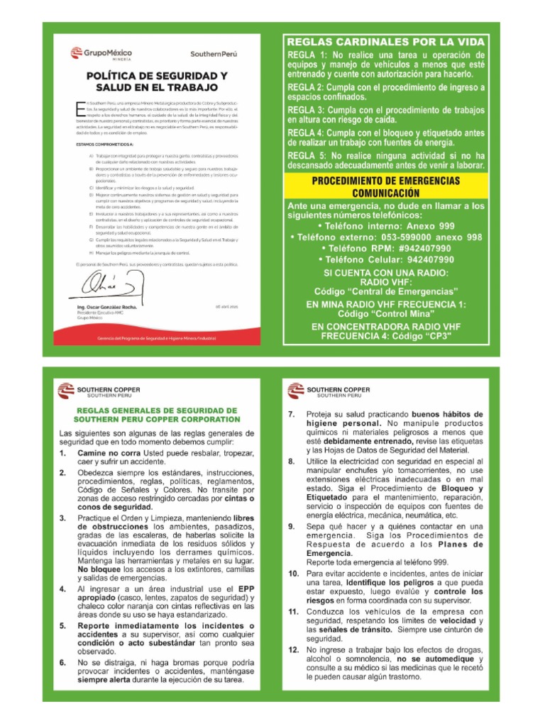 Reglas Cardinales - Politica - Reglas Generales | PDF