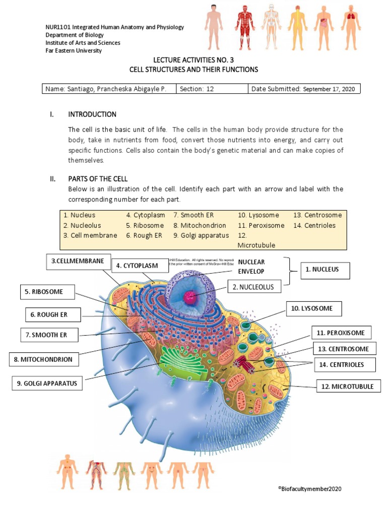 NUR11O1 Integrated Human Anatomy and Physiology Department of Biology ...