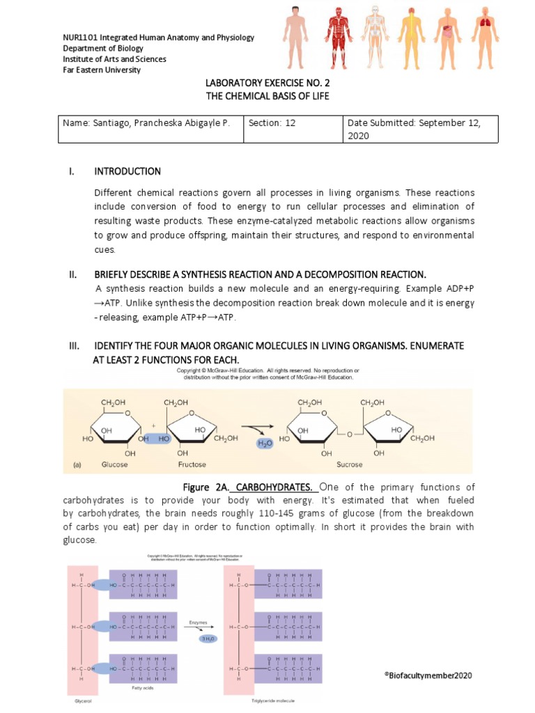 NUR11O1 Integrated Human Anatomy and Physiology Department of Biology ...
