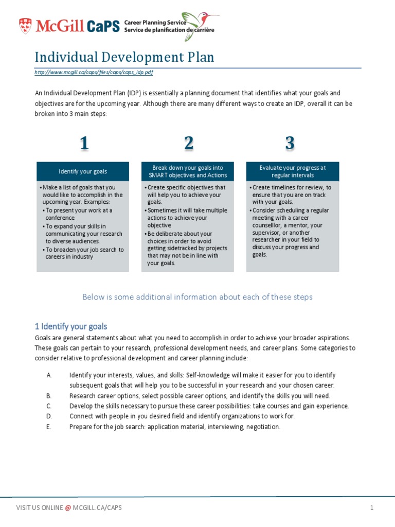 McGill Individual Development Plan Guide | PDF