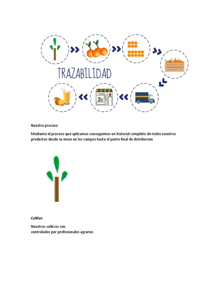 Proceso de Trazabilidad | PDF