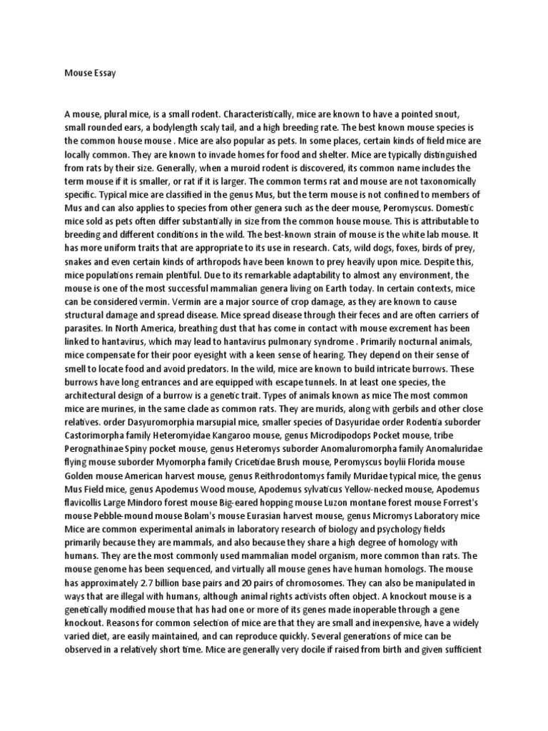 Mouse Essay | PDF | Mouse | Biology