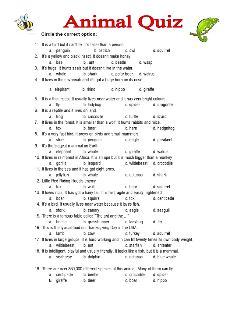Animal Quiz | PDF | Zoology