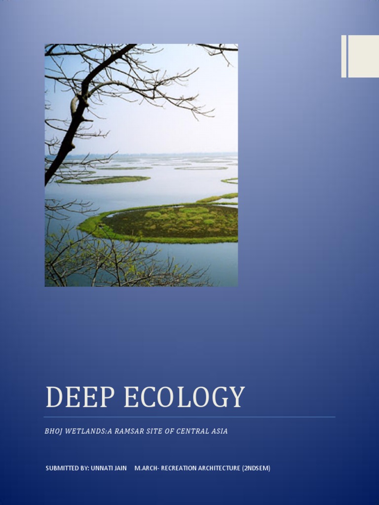 Deep Ecology | PDF | Wetland | Biodiversity