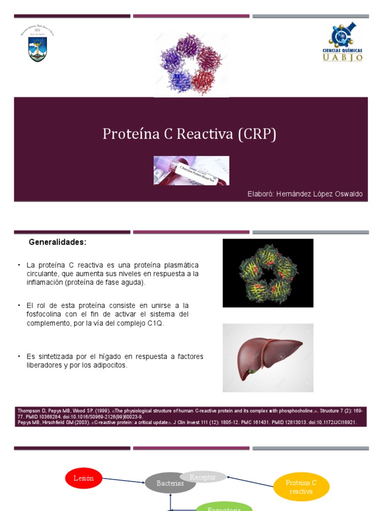 6B-Proteína C Reactiva | PDF | Proteína C-reactiva | Medicina