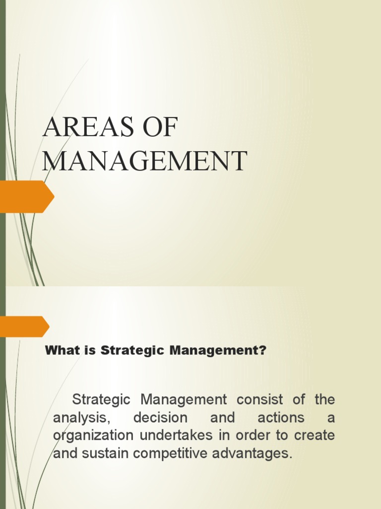 Areas of Management | PDF | Strategic Management | Entrepreneurship