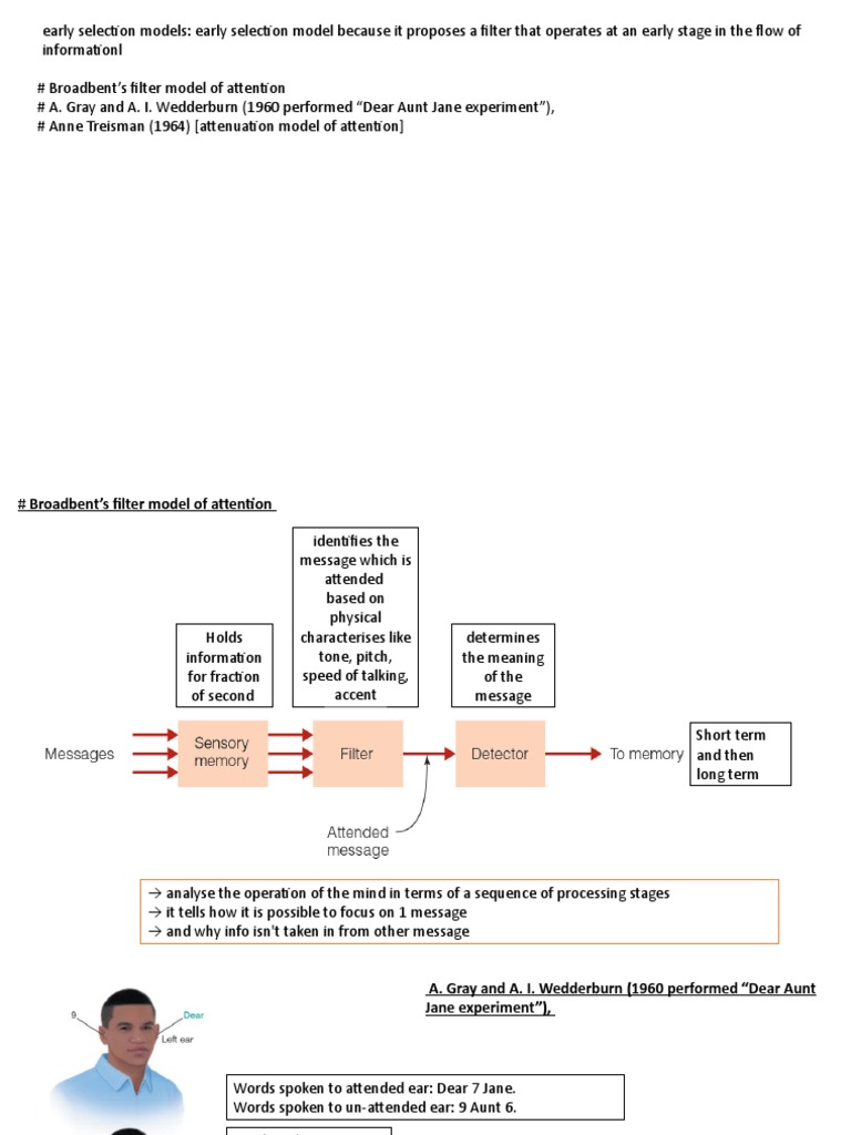 Cognitive Attention Models | PDF | Attention | Neuroscience