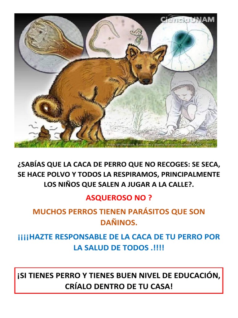Perro | PDF