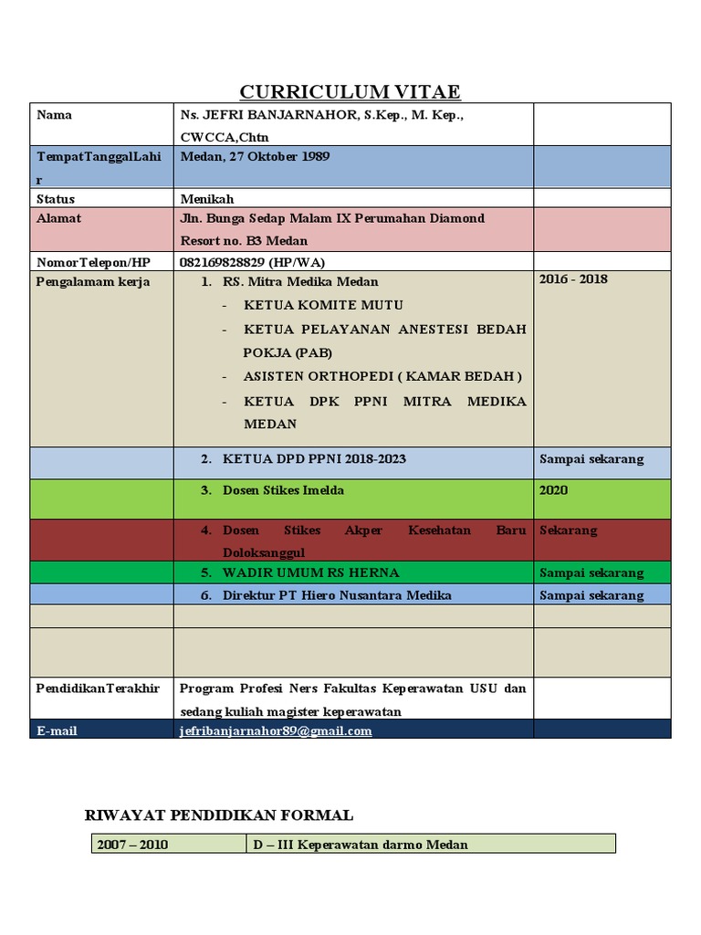 CV Profesional Jefri Banjarnahor | PDF