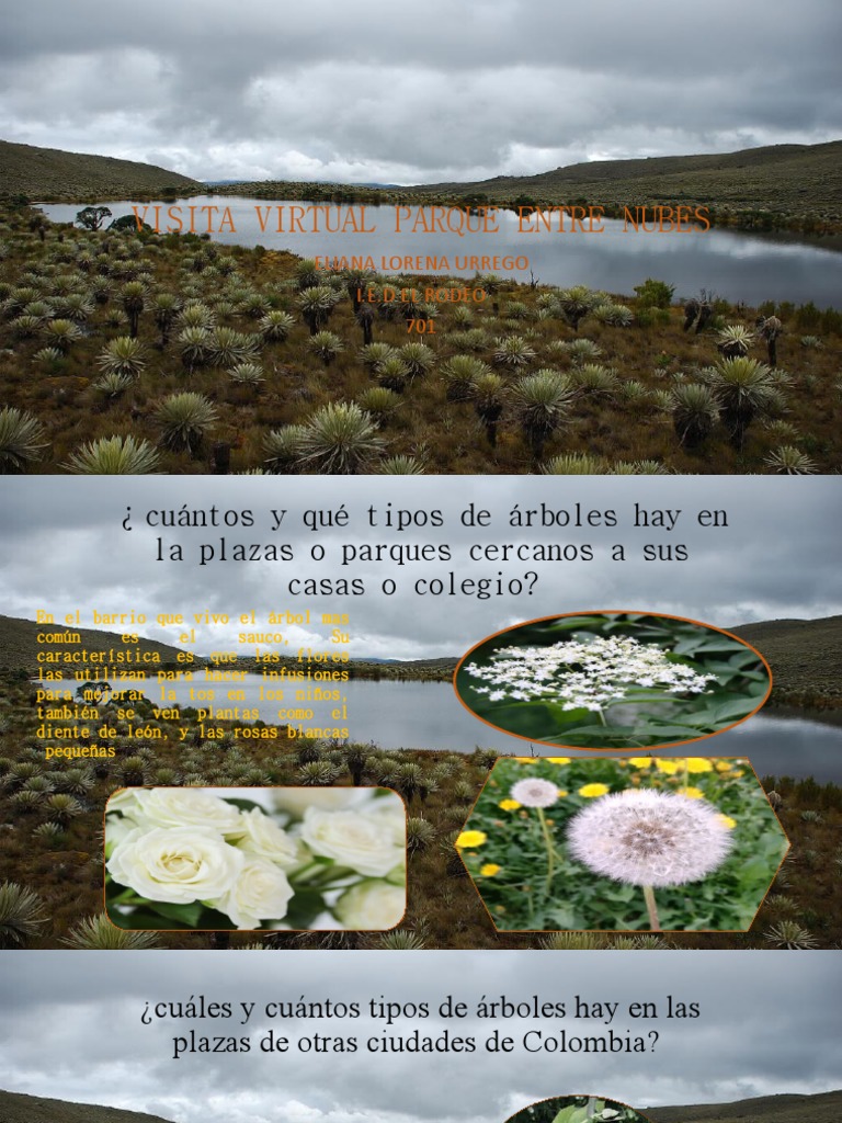 Visita Virtual Parque Entre Nubes | PDF | Arboles | Bogotá