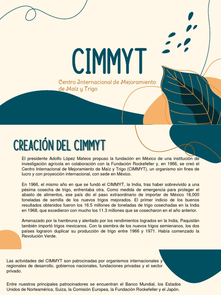 Cimmyt Info | PDF | Agricultura | Economias