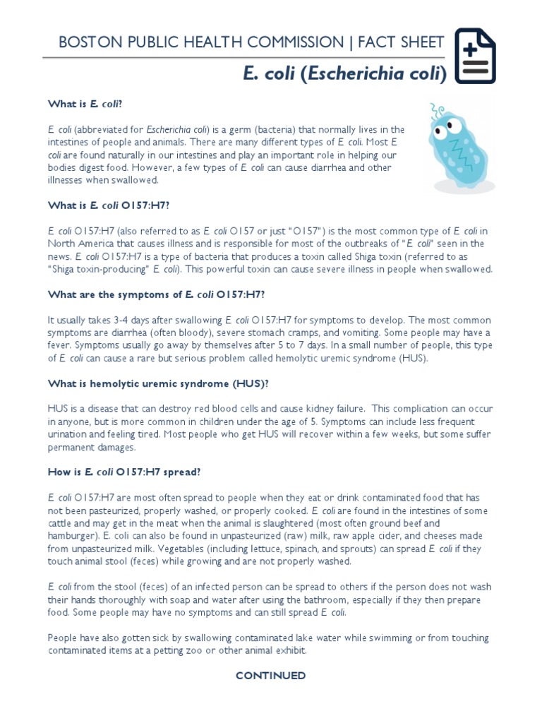 E Coli | Download Free PDF | Escherichia Coli | Public Health