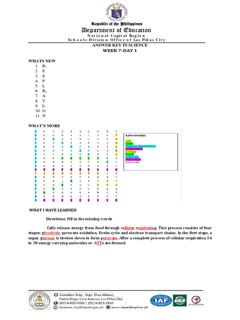 Answer Key Science Week 7 | PDF | Cellular Respiration | Mitochondrion