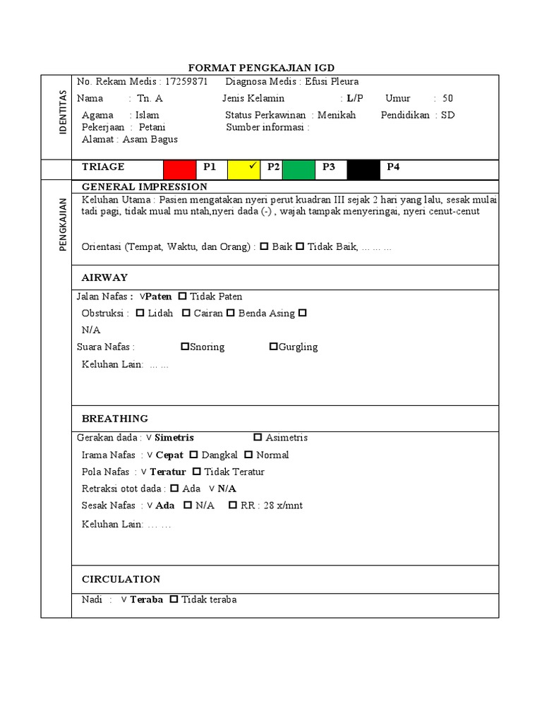 Format Igd | PDF | Kesehatan Holistik