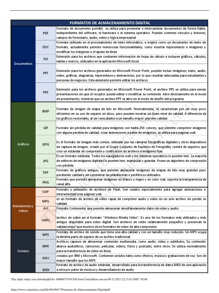 Formatos de Almacenamiento Digital PDF | PDF | Archivo de computadora ...