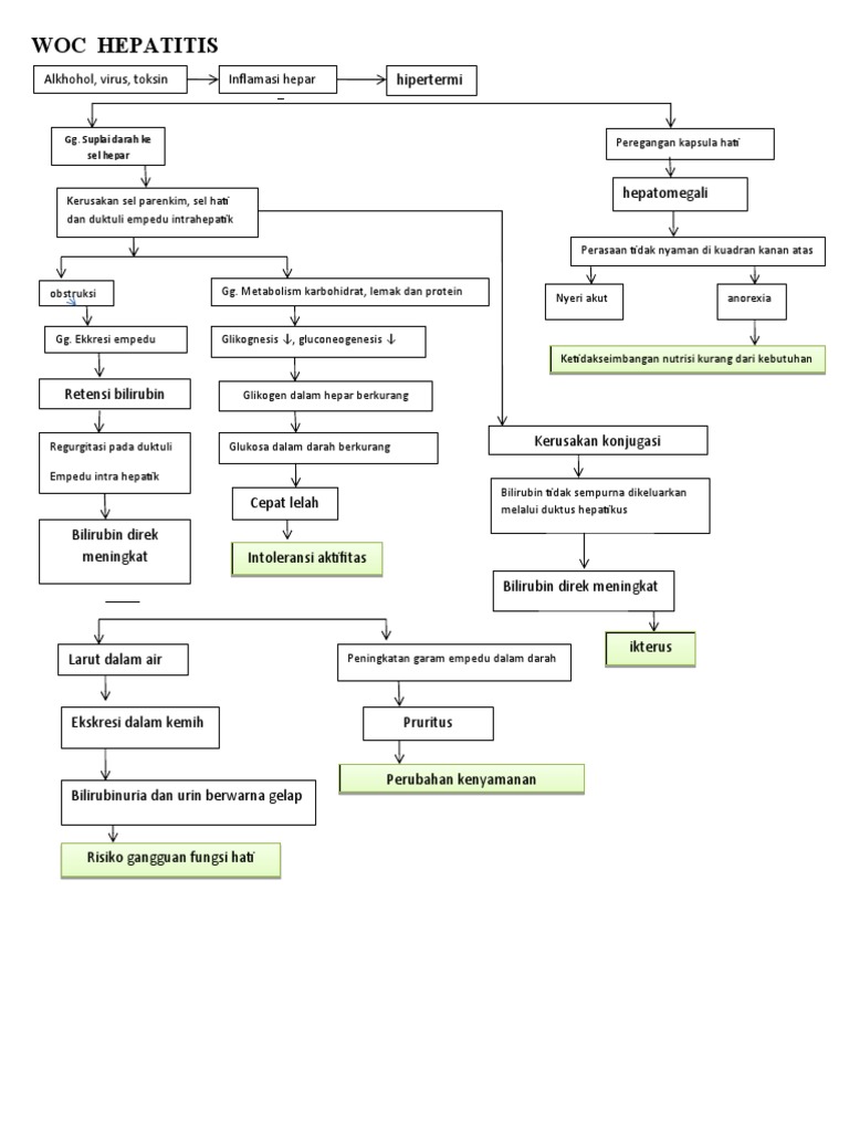 KMB 2. Woc Hepatitis, Sirosis Hepatis | PDF