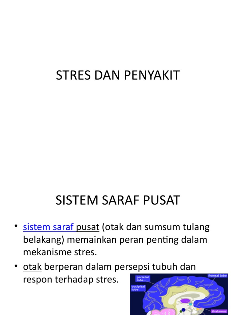 Stres Dan Penyakit | PDF