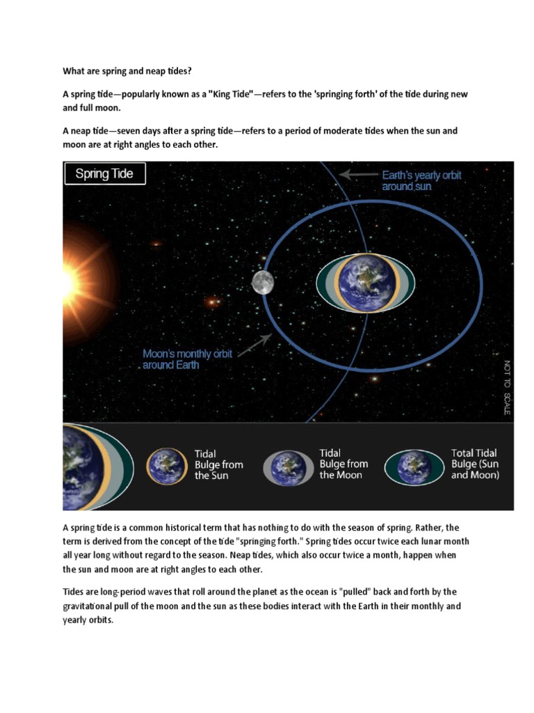 Understanding Spring and Neap Tides | PDF | Tide | Moon