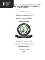 JD and JS Format Samples | PDF