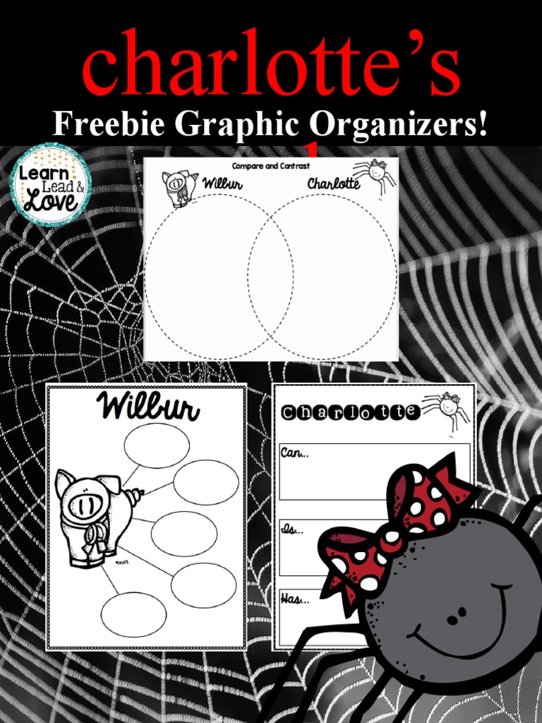 Educator's Graphic Organizers | PDF