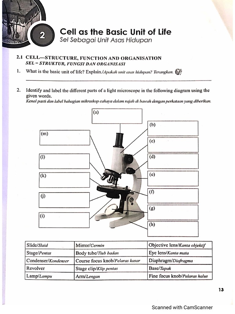 Science F1 Chapter 2 | PDF