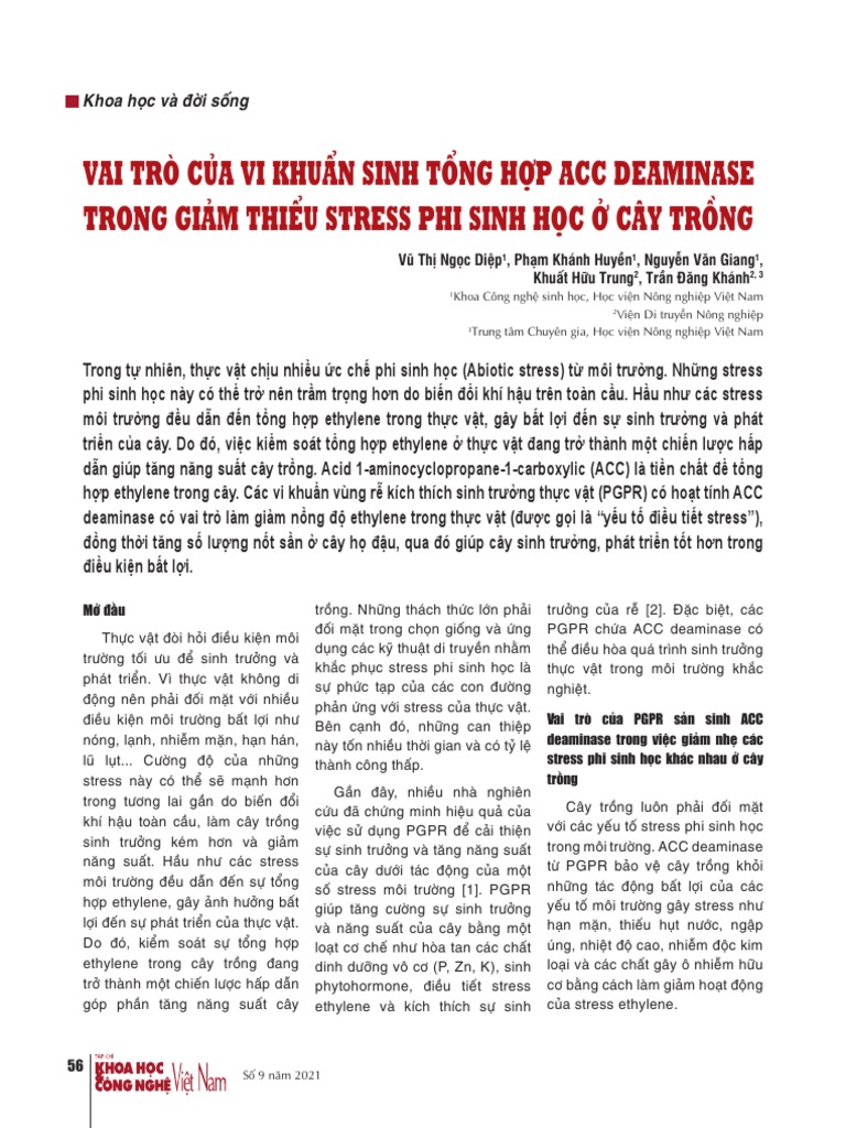Vai trò của vi khuẩn sinh tổng hợp acc deaminase trong giảm thiểu stress phi sinh học ở cây ...