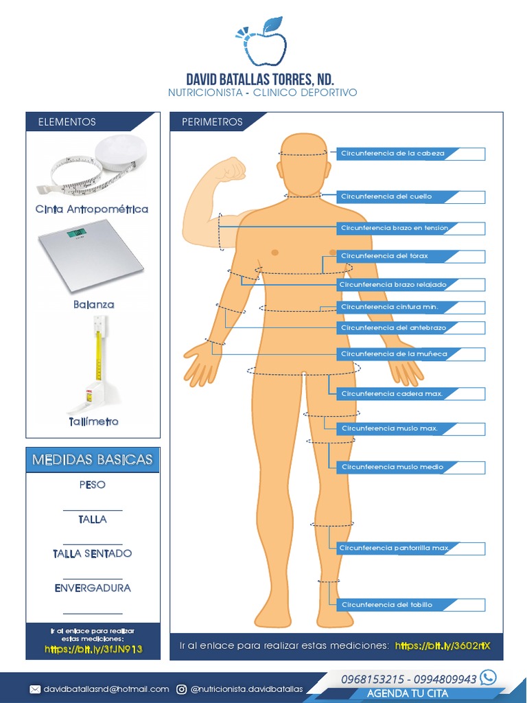 Formato Mediciones Plantilla | PDF