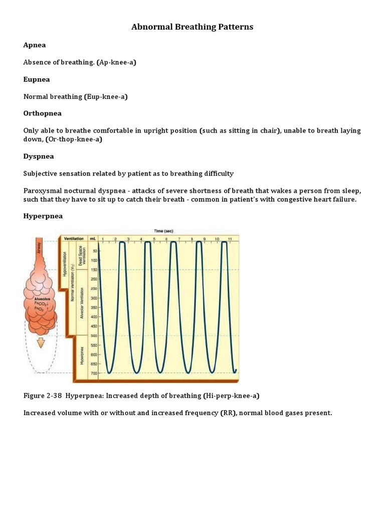 Abnormal Breathing Patterns | PDF | Breathing | Apnea