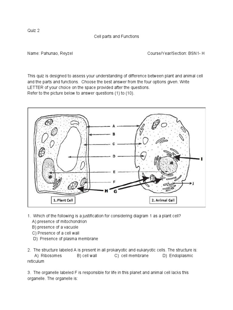 Quiz 2 (Cell Parts and Functions) | PDF | Cell (Biology) | Eukaryotes
